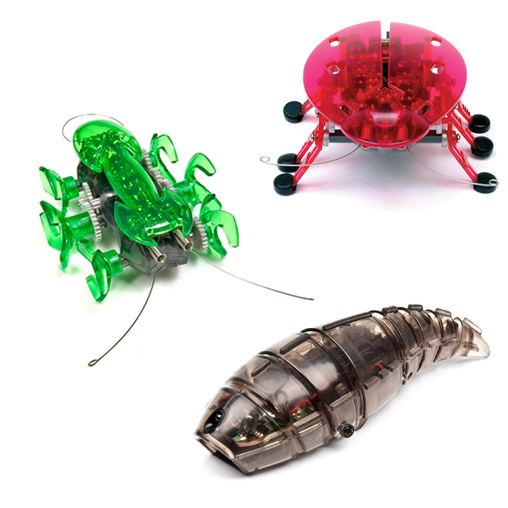 Hexbug | Teton Toys